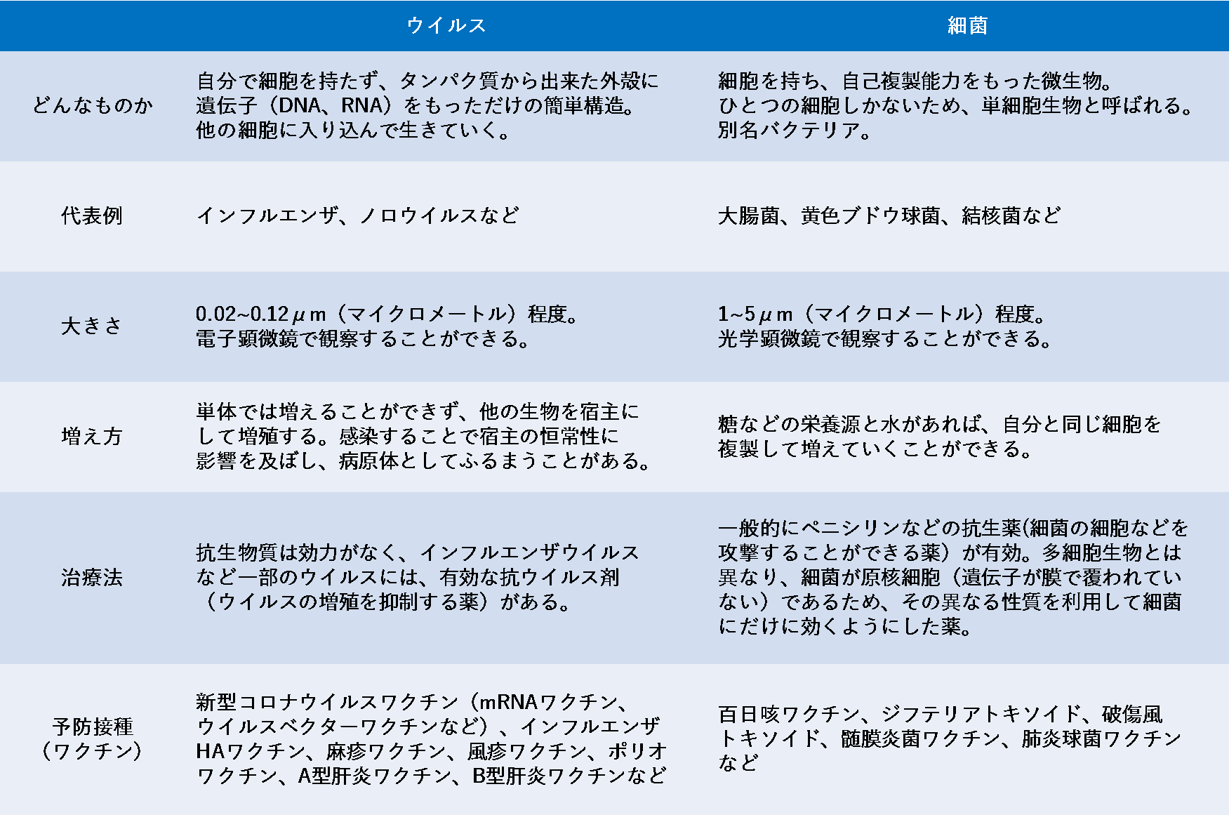 細菌とウイルスの違いを、特徴や治療方法等により整理します。