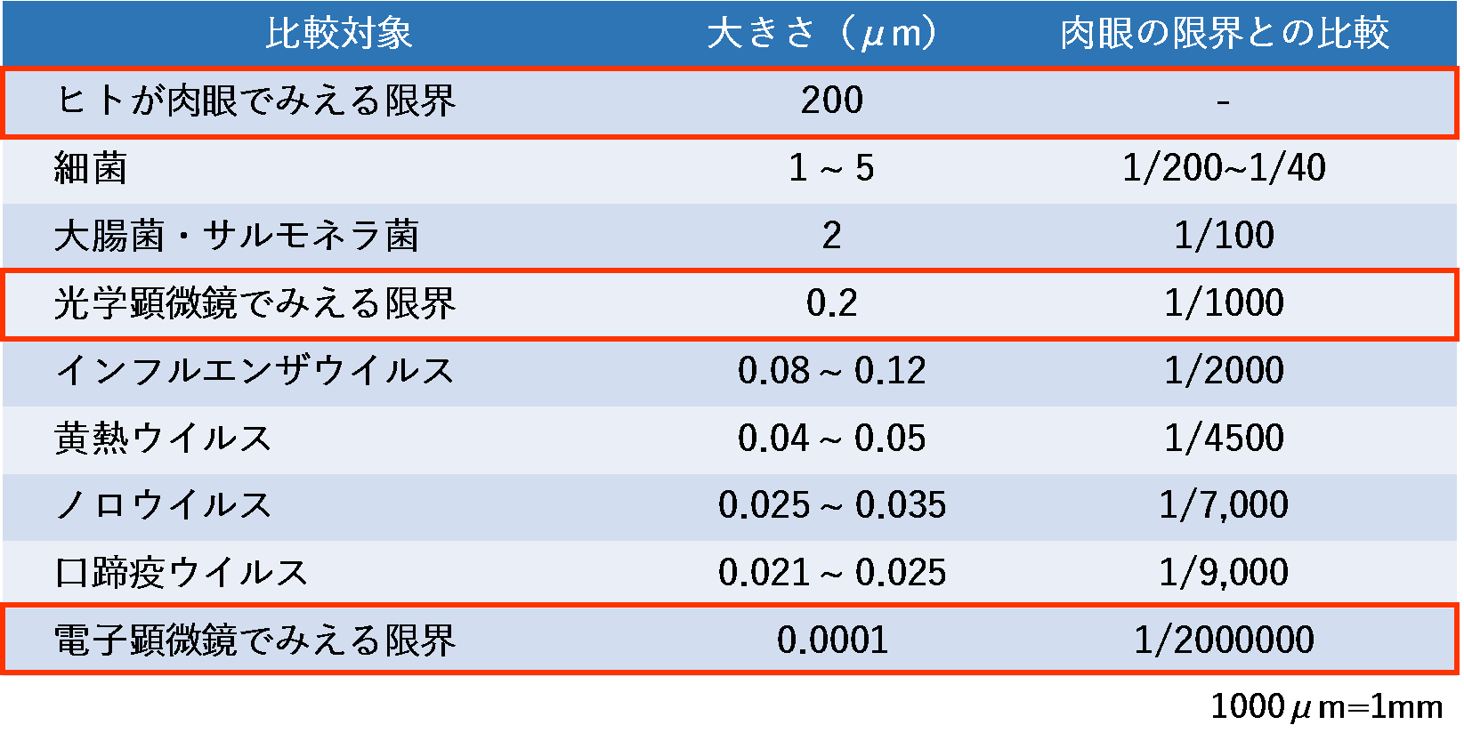 細菌とウイルスの違いを、特徴や治療方法等により整理します。
